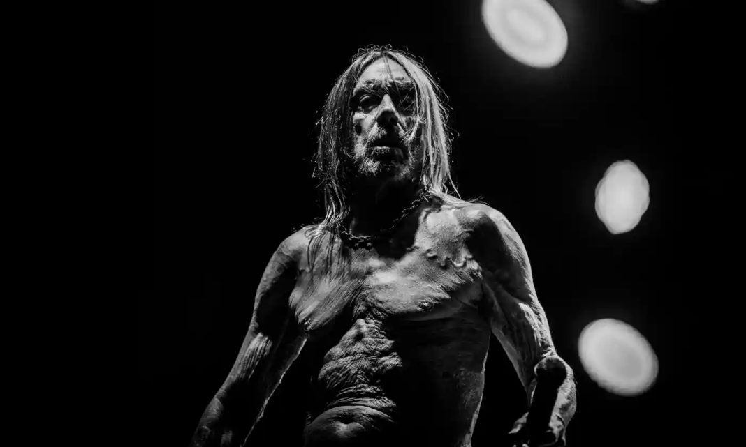 Iggy Pop 自曝曾獲邀加入 AC/DC：「但我不適合啦！」 | 樂手巢 YSOLIFE