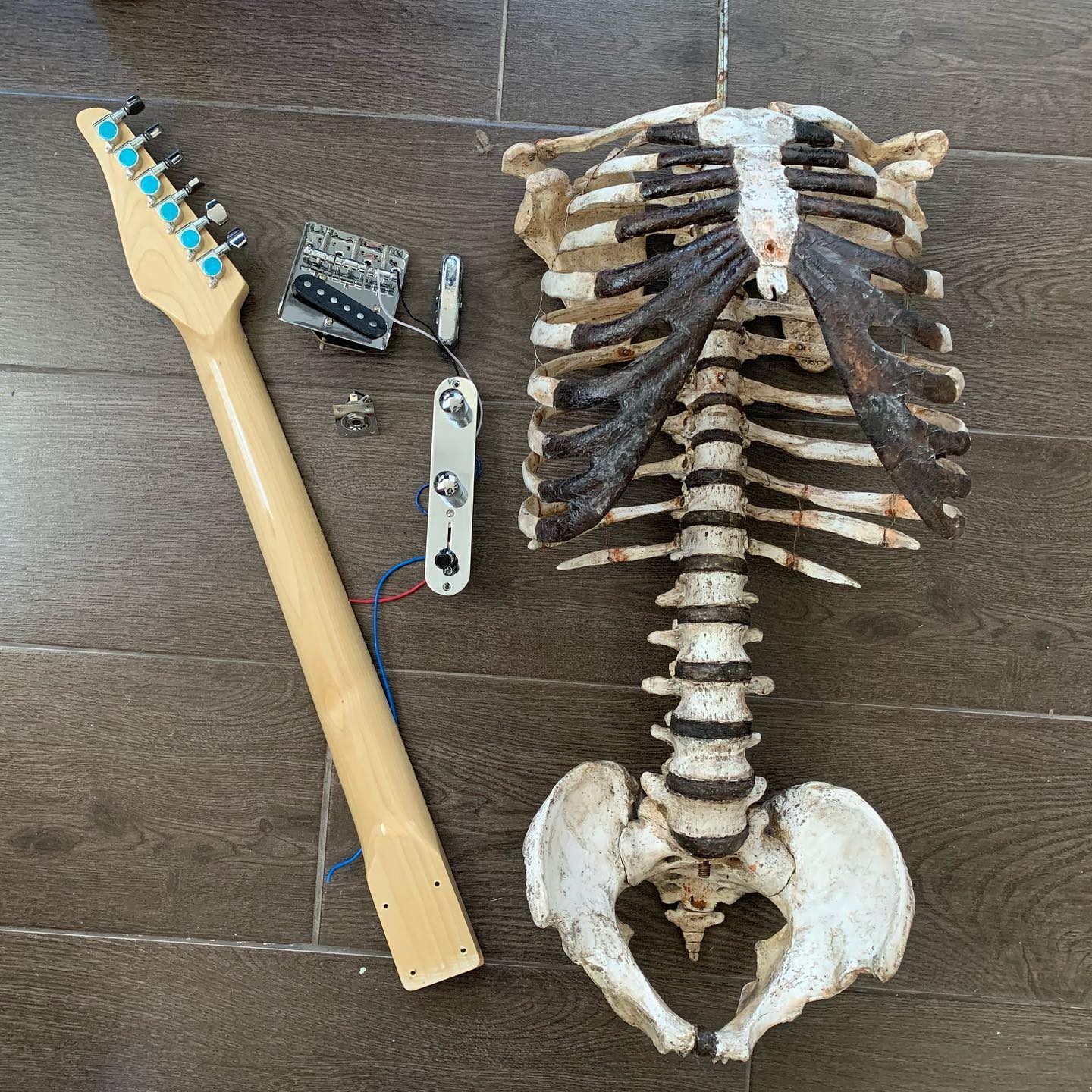 舅舅遺骨做的吉他、海鷗叫聲效果器！盤點怪到簡直是藝術品的奇葩樂器 | 樂手巢 YSOLIFE